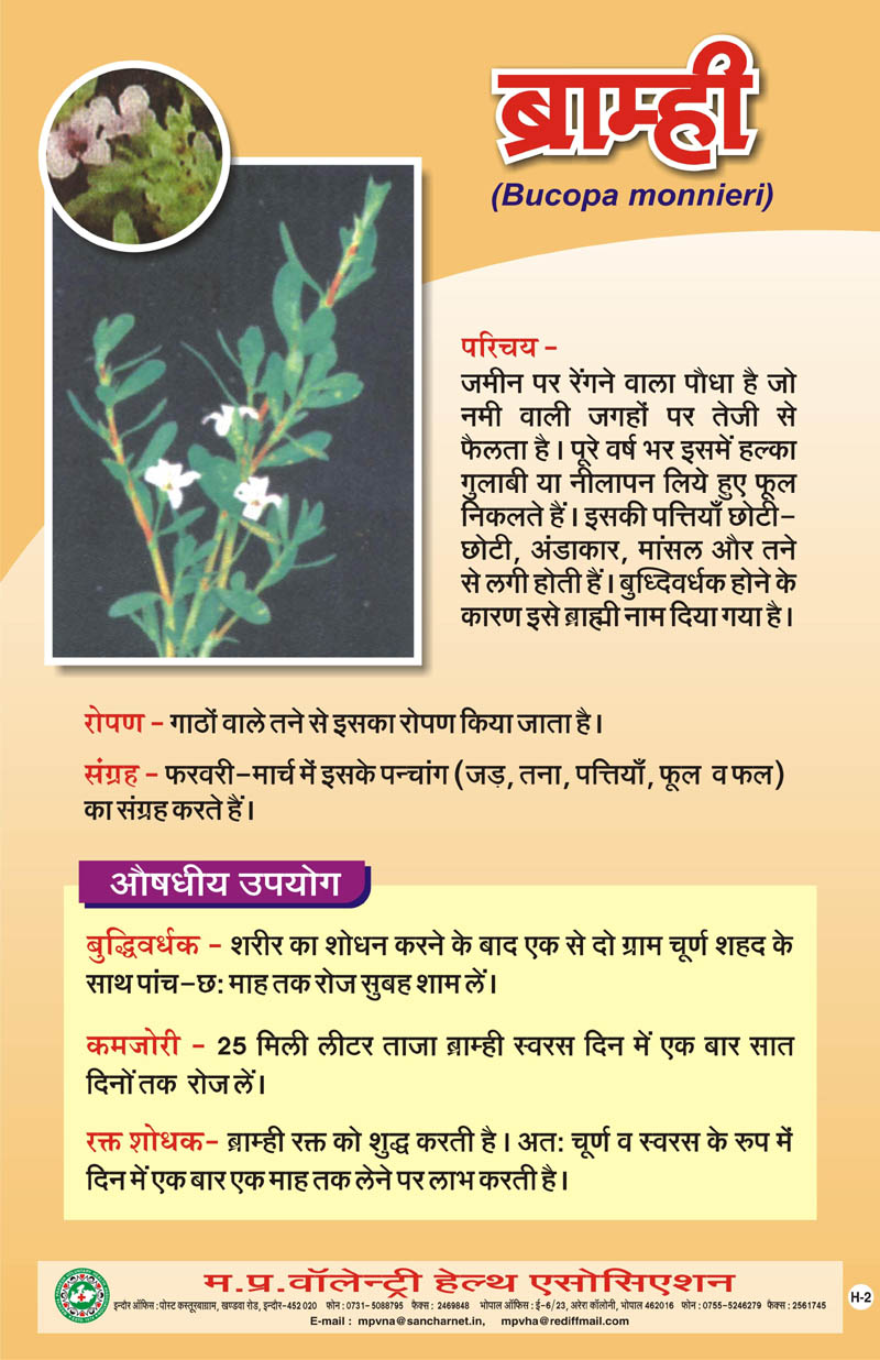 AYUSH Programme – Madhya Pradesh Voluntary Health Association